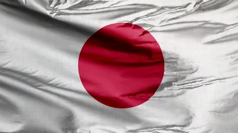 Tokyo, Japan. Flag | Stock Video | Pond5