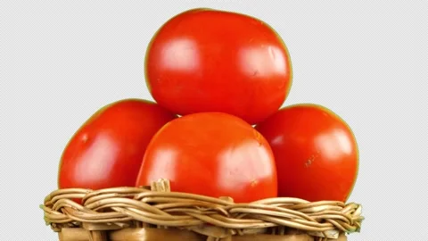 Channel 3 Breas Stock Videos – Royalty-Free HD & 4K Videos | Pond5