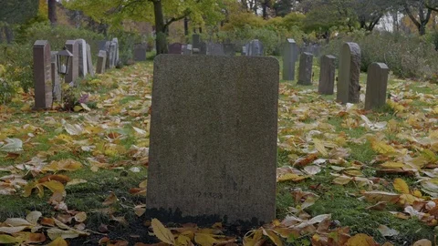 Blank Tombstone Stock Videos – Royalty-Free HD & 4K Videos | Pond5