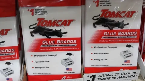 Tomcat Glue Boards | Stock Video | Pond5