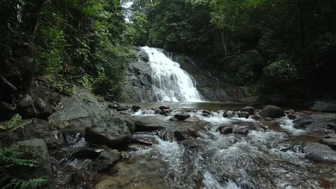 Ton Th Stock Videos – Royalty-Free HD & 4K Videos