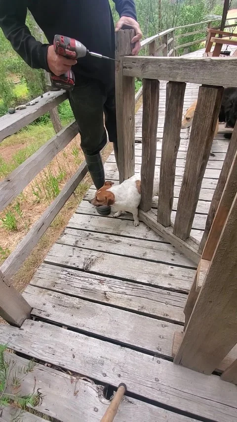 Too Many Bones Stock Videos – Royalty-Free HD & 4K Videos