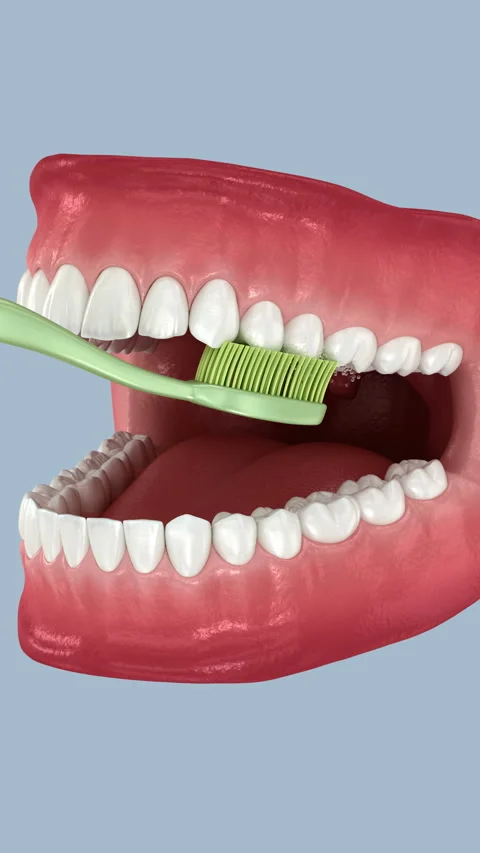 Teeth Cleaning Animation Stock Videos – Royalty-Free HD & 4K Videos | Pond5