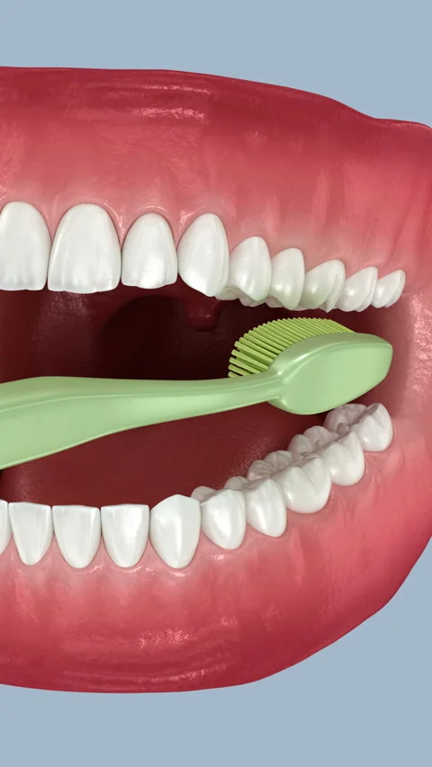 Teeth Cleaning Animation Stock Videos – Royalty-Free HD & 4K Videos | Pond5