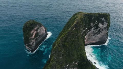 Trex Top View Stock Videos – Royalty-Free HD & 4K Videos | Pond5