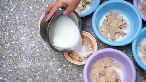 India Animal Top Stock Videos – Royalty-Free HD & 4K Videos | Pond5