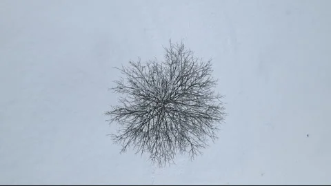 Top down aerial rotating over snow cover... | Stock Video | Pond5