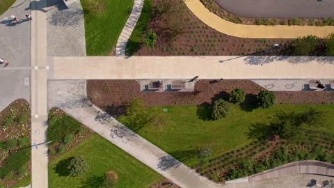 Top down aerial - several paths in the p... | Stock Video | Pond5