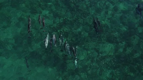 Pod A Stock Videos – Royalty-Free HD & 4K Videos