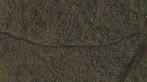 Top Down Aerial View of a Female Athlete... | Stock Video | Pond5