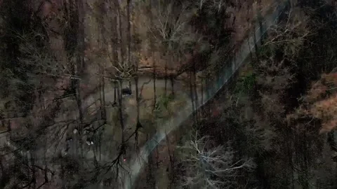 Top down aerial view of foot path in nat... | Stock Video | Pond5