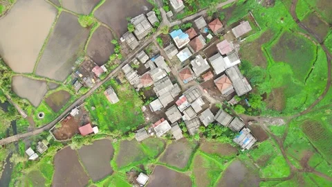 Indian Rice Top View Stock Video Footage | Royalty Free Indian Rice Top ...