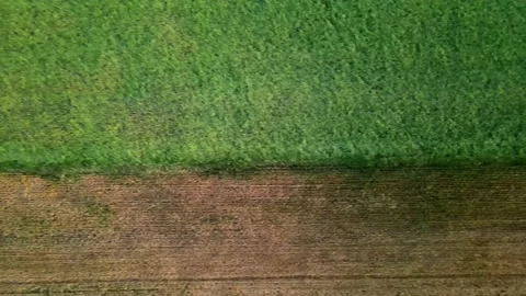 Top-down aerial view of pea and wheat fi... | Stock Video | Pond5