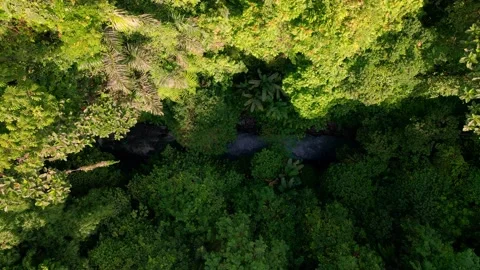 Top down aerial view of pristine river i... | Stock Video | Pond5