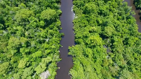 Top Down Aerial View of a River Running ... | Stock Video | Pond5