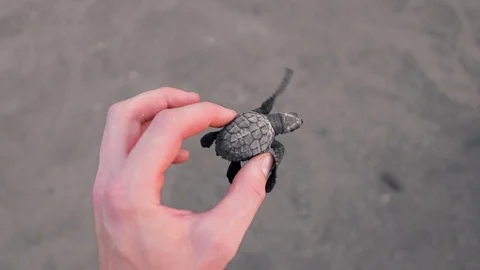 Top-down bird's-eye view of a white hand... | Stock Video | Pond5