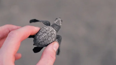 Top-down bird's-eye view of a white hand... | Stock Video | Pond5