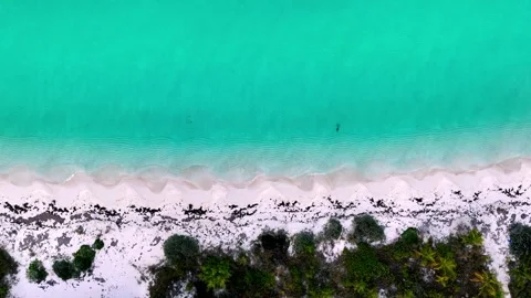 Top-Down Pan of Bahamas Beach and Water,... | Stock Video | Pond5