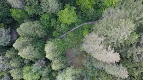 Top down rising view of hikers along a f... | Stock Video | Pond5