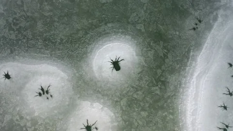 Top down view of empty frozen pond. Film... | Stock Video | Pond5