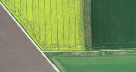 Top down view of fields with various typ... | Stock Video | Pond5