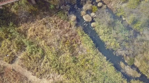 Top Down Bush Stock Videos – Royalty-Free HD & 4K Videos