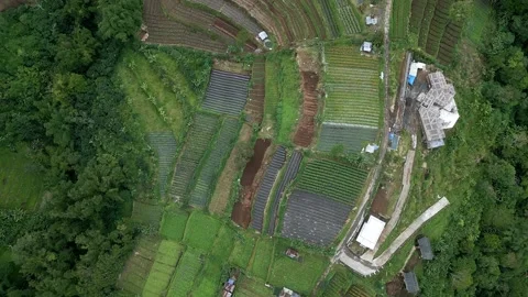 Top down view of multi crop farm land on... | Stock Video | Pond5