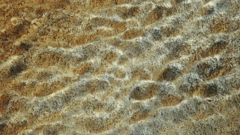 Top down view seabed texture, sea floor ... | Stock Video | Pond5