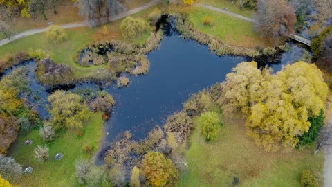 Swamp Top View Stock Footage ~ Royalty Free Stock Videos | Pond5