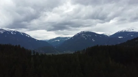 Top down view of spruce forest on the ba... | Stock Video | Pond5