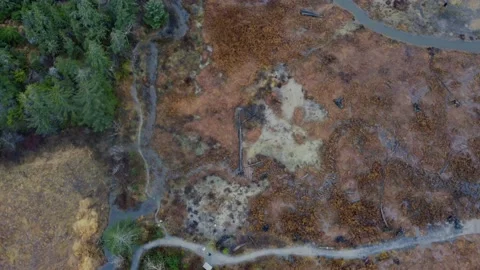 Swamp Top View Stock Footage ~ Royalty Free Stock Videos | Pond5