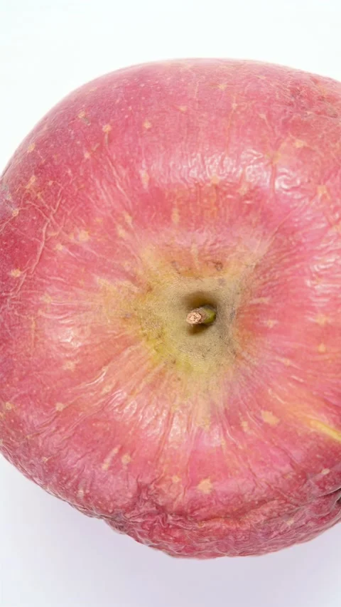 Bad Apple Virus Stock Videos – Royalty-Free HD & 4K Videos | Pond5