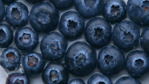 Top All Stock Videos – Royalty-Free HD & 4K Videos | Pond5