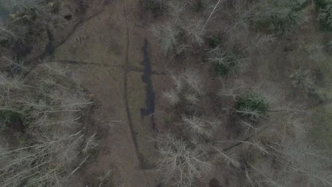 Top view aerial of barren forest with no... | Stock Video | Pond5