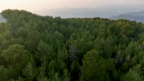 Top view aerial real time pan around of ... | Stock Video | Pond5