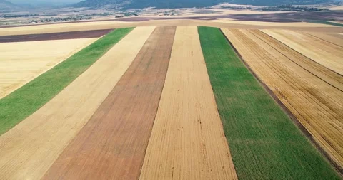 Top view of agriculture field farmland a... | Stock Video | Pond5