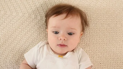 Top view and close-up portrait of cute a... | Stock Video | Pond5