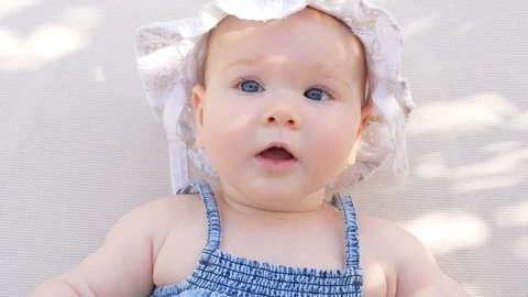 Top view and close-up portrait of cute a... | Stock Video | Pond5