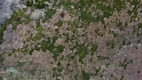Top View of a Beautiful Ocean Floor Text... | Stock Video | Pond5
