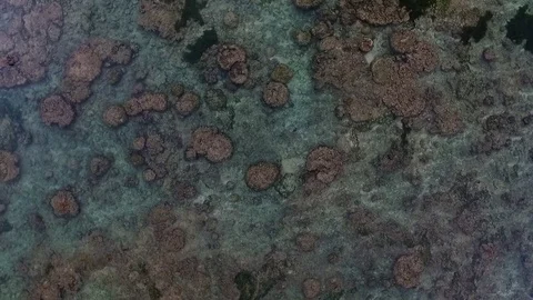 Top View of a Beautiful Ocean Floor Text... | Stock Video | Pond5