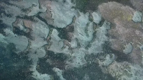 Top View of a Beautiful Ocean Floor Text... | Stock Video | Pond5