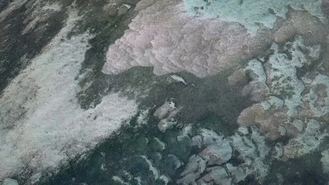 Top View of a Beautiful Ocean Floor Text... | Stock Video | Pond5