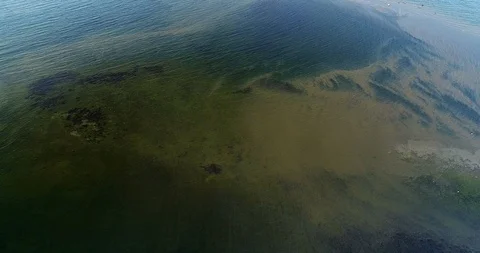 Top View, Blooming Blue Green Algae, Bal... | Stock Video | Pond5