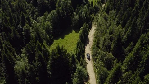 Top view of a car riding through the woo... | Stock Video | Pond5