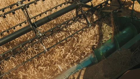 Top View Of A Combine Harvester Cutting ... | Stock Video | Pond5