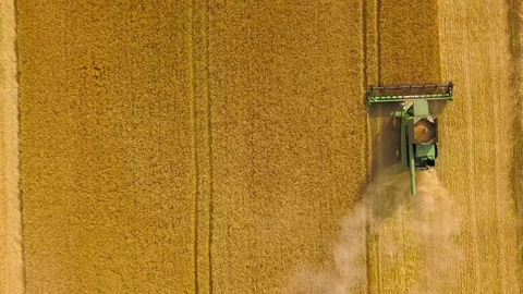 Top view combine harvester gathers the w... | Stock Video | Pond5