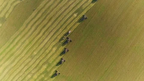 Top view combine harvester gathers the w... | Stock Video | Pond5