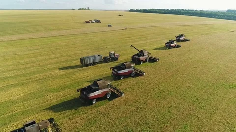 Top view combine harvester gathers the w... | Stock Video | Pond5