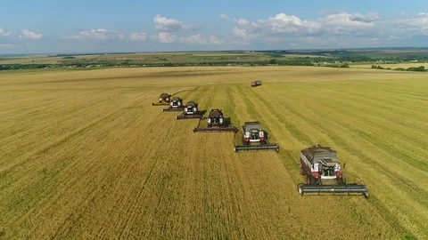 Top view combine harvester gathers the w... | Stock Video | Pond5