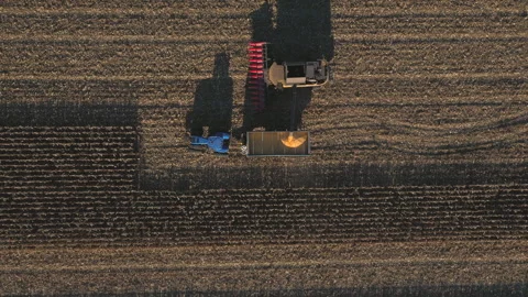 Top view of combine loading off ripe cor... | Stock Video | Pond5